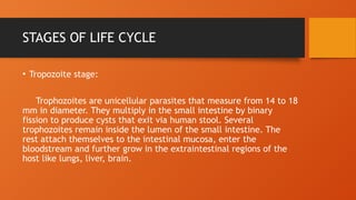 Amoebiasis, explanation, symptoms, causes | PPTX