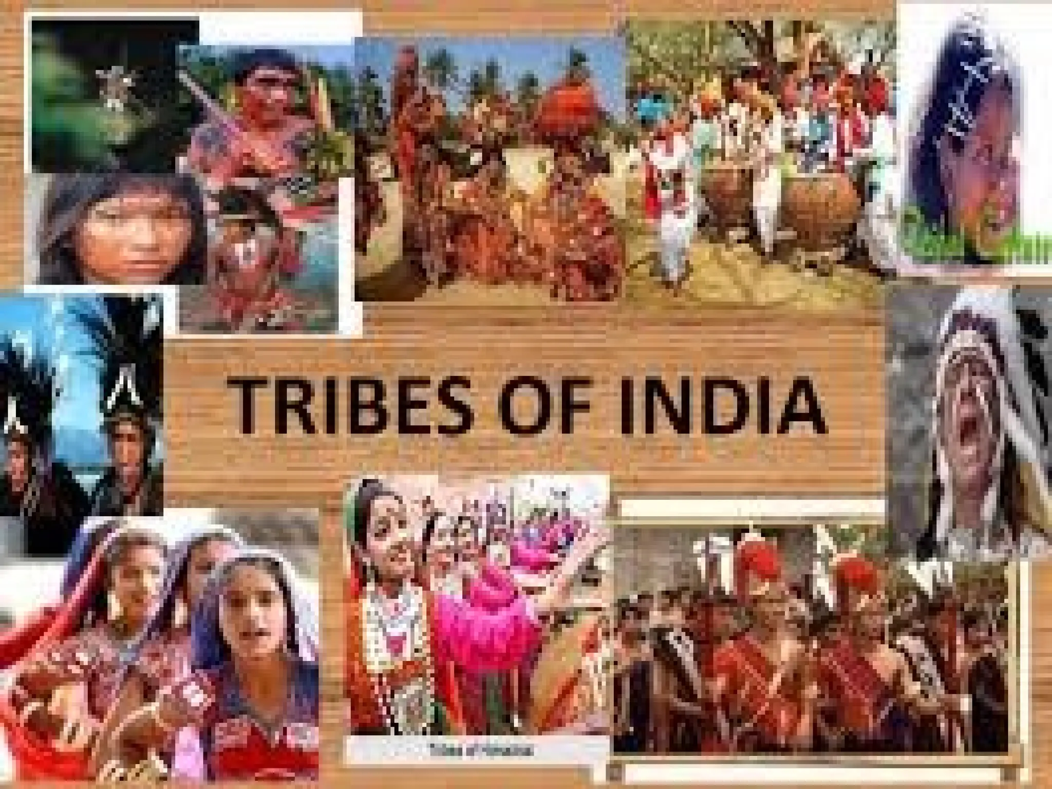 Tribals in India tribes in various states . | PPT