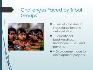 Tribals in India tribes in various states . | PPTX