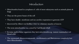 Mitochondria is the powerhouse of cell. | PDF