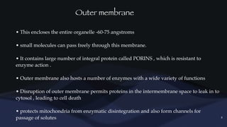 Mitochondria is the powerhouse of cell. | PDF
