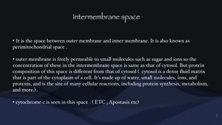 Mitochondria is the powerhouse of cell. | PPT