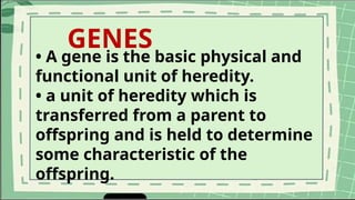 Lesson 10: Heredity: Inheritance and Variation | PPTX