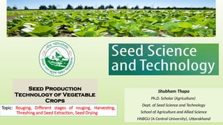 Rouging, Different stages of rouging, Harvesting, Threshing and Seed ...