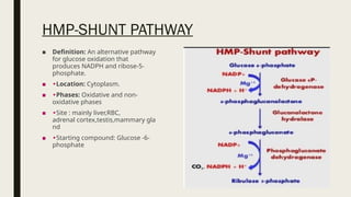 Presentation (2).pptx glucose metabolism | PPTX