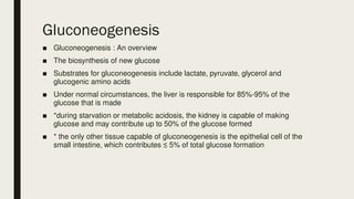 Presentation (2).pptx glucose metabolism | PPTX