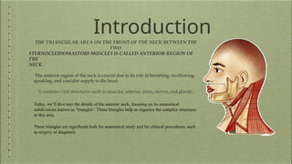 Presentation 2 anterior triangle of neck.pptx