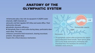 Glymphatic system dysfunction and neurodegeneration | PPTX