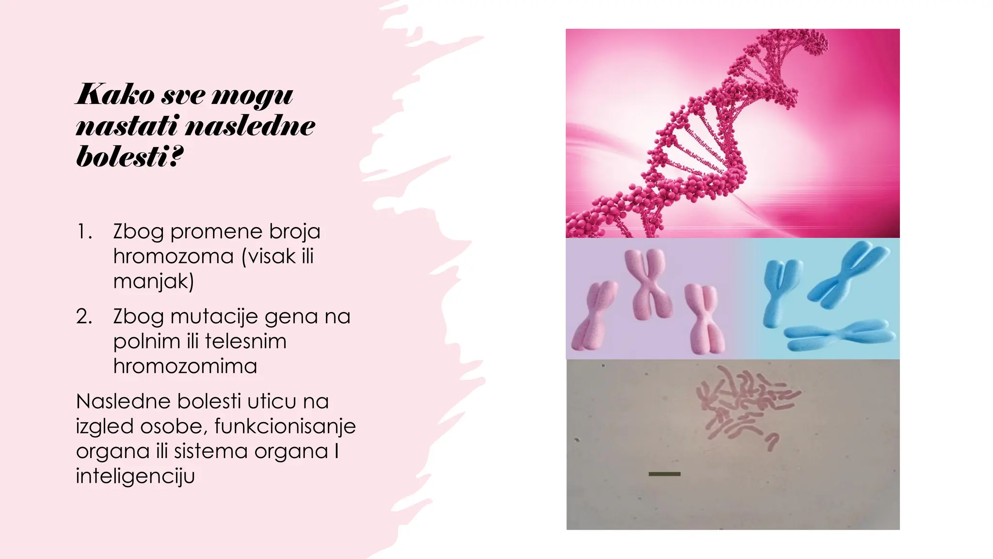 Nasledne bolesti (biologija za 7 razred) | PPTX