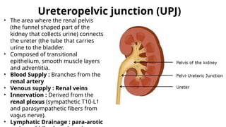Disease of ureter and that of pelviureteric junction | PPTX
