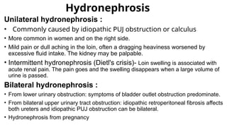 Disease of ureter and that of pelviureteric junction | PPTX