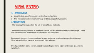 Cellular Basis of transformation of Virus | PPTX