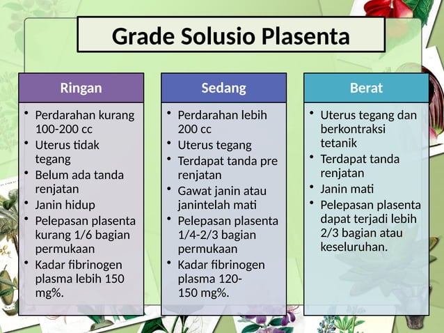 Presentation22222222222222222222222222222222222222222222222222.pptx