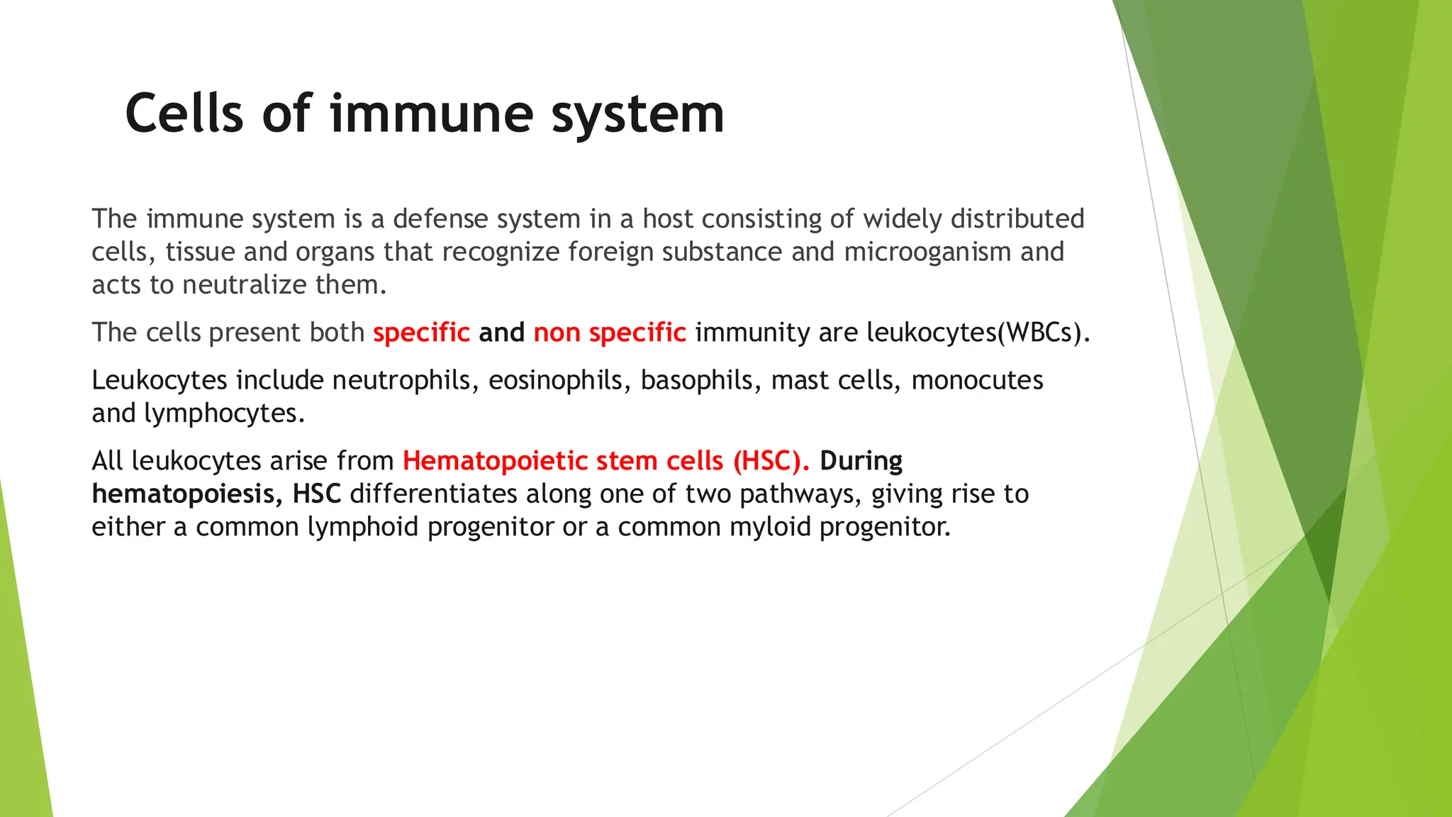 Types of Immune cells in immunology M.Sc. PPT | PDF