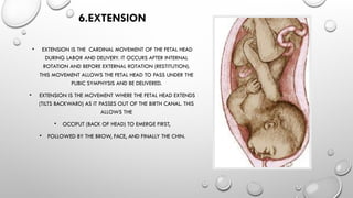 Physiology of second stage of labour/ mechanism of labour | PPTX