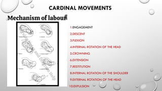 Physiology of second stage of labour/ mechanism of labour | PPTX