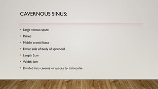 Comprehensive Overview of Cavernous Sinus Thrombosis: Anatomy ...