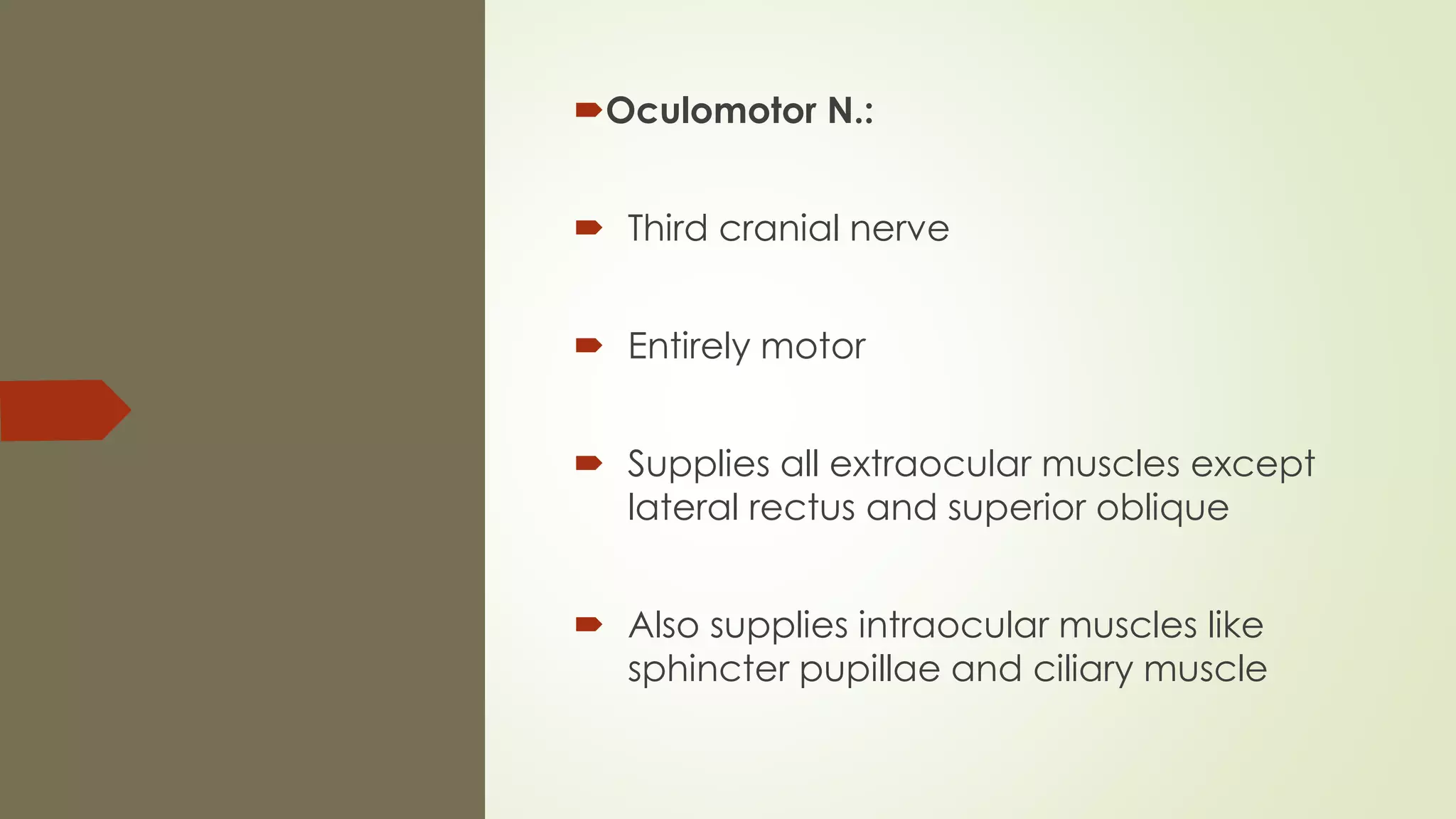 Paralytic strabismus ( third cranial nerve ) | PDF
