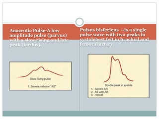 GENERAL PHYSICAL EXAMINATION | PPTX