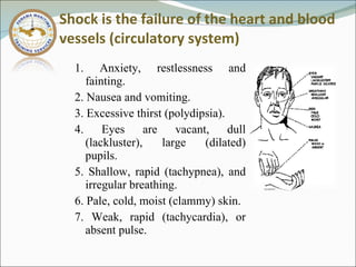 Presentation 2 First Aid | PPT