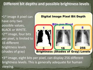 Introduction to Medical Imaging (informatics approach) | PPTX