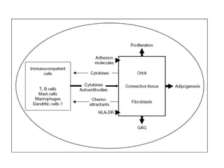 Pathophysiology of Graves Orbitopathy | PPT