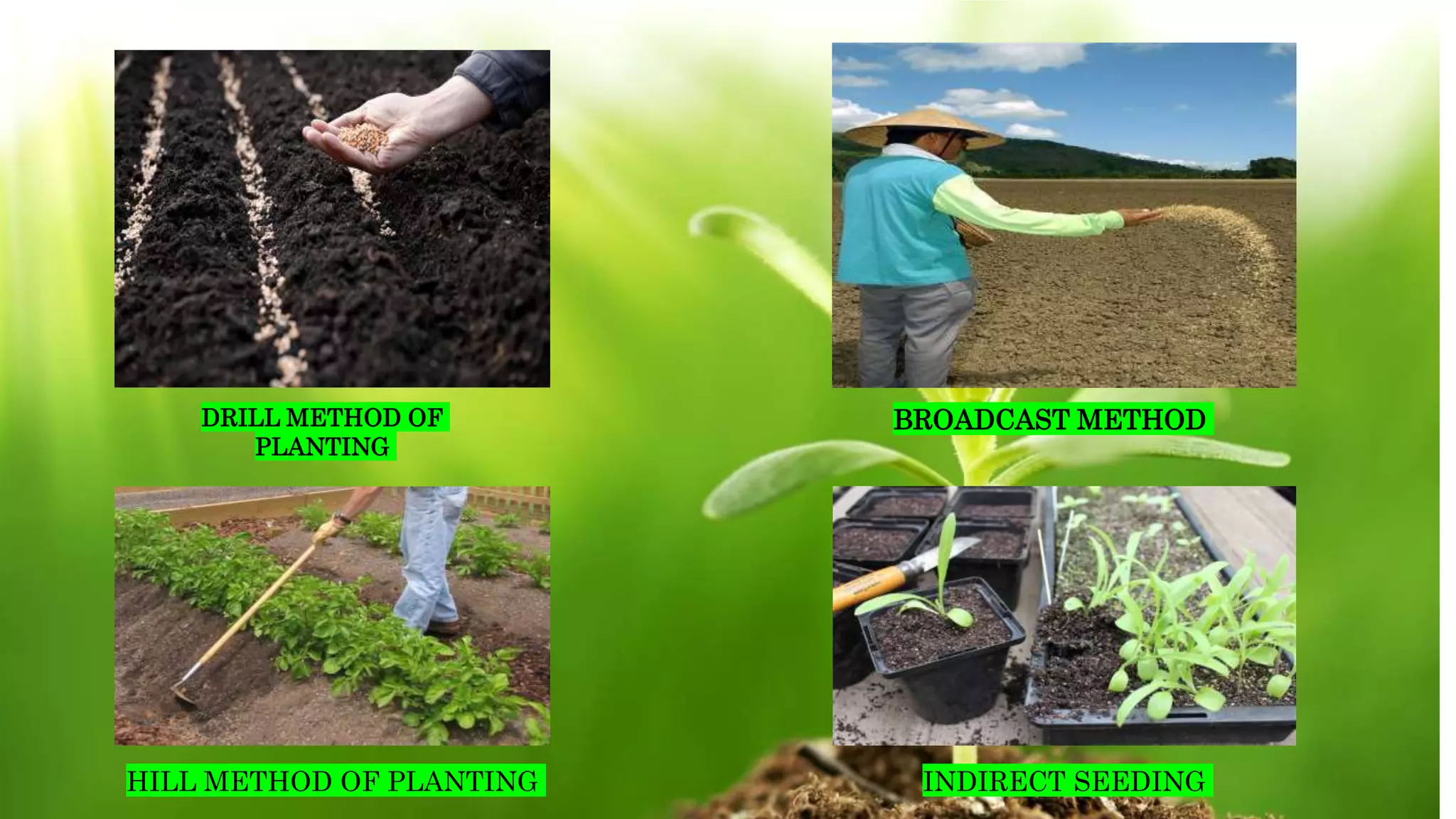 SOIL PREPARATION AND PLANTING | PPTX