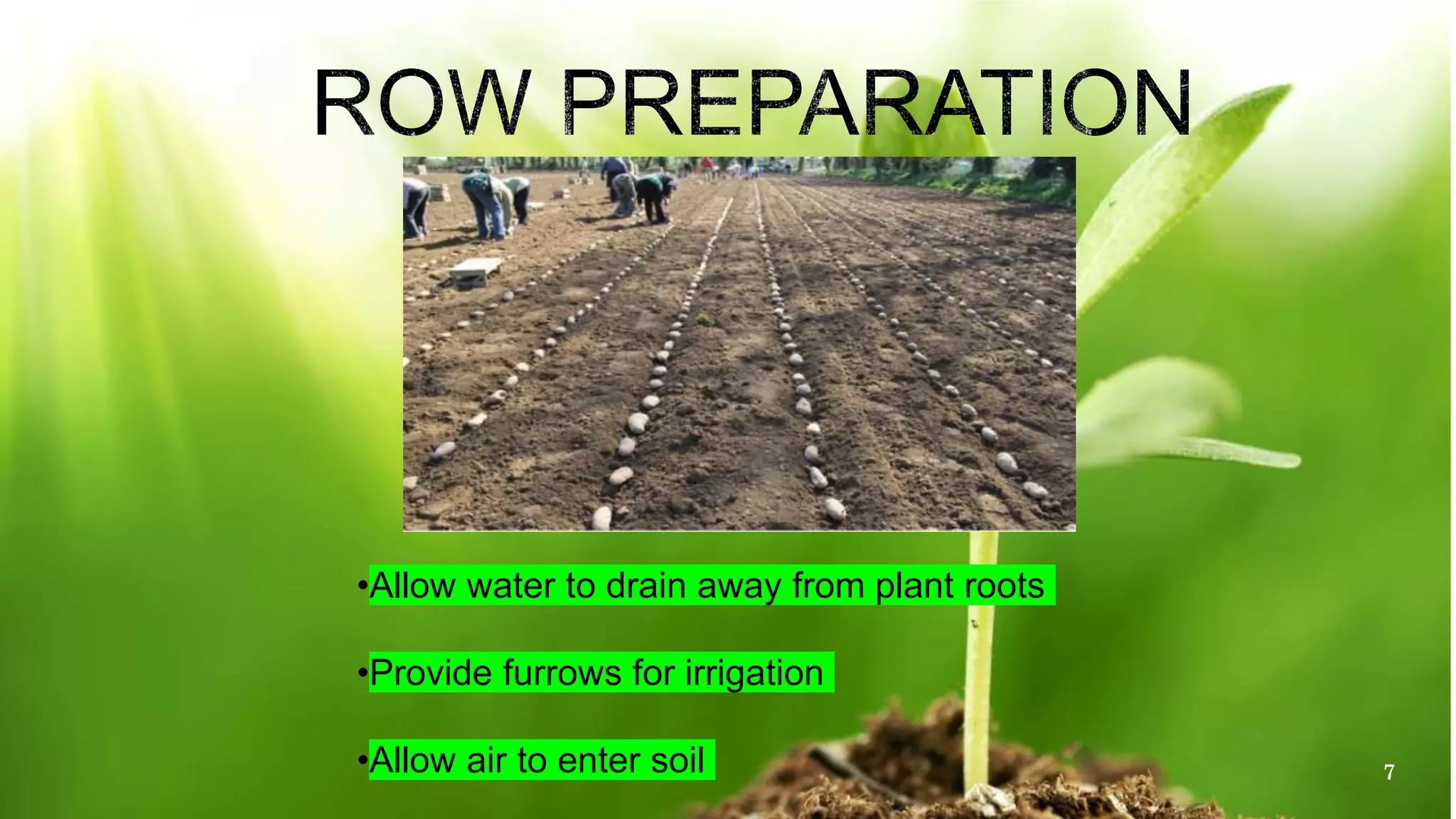 SOIL PREPARATION AND PLANTING | PPTX