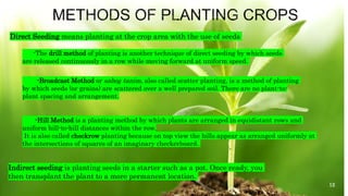 SOIL PREPARATION AND PLANTING | PPTX