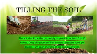 SOIL PREPARATION AND PLANTING | PPTX