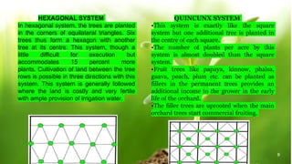 SOIL PREPARATION AND PLANTING | PPTX