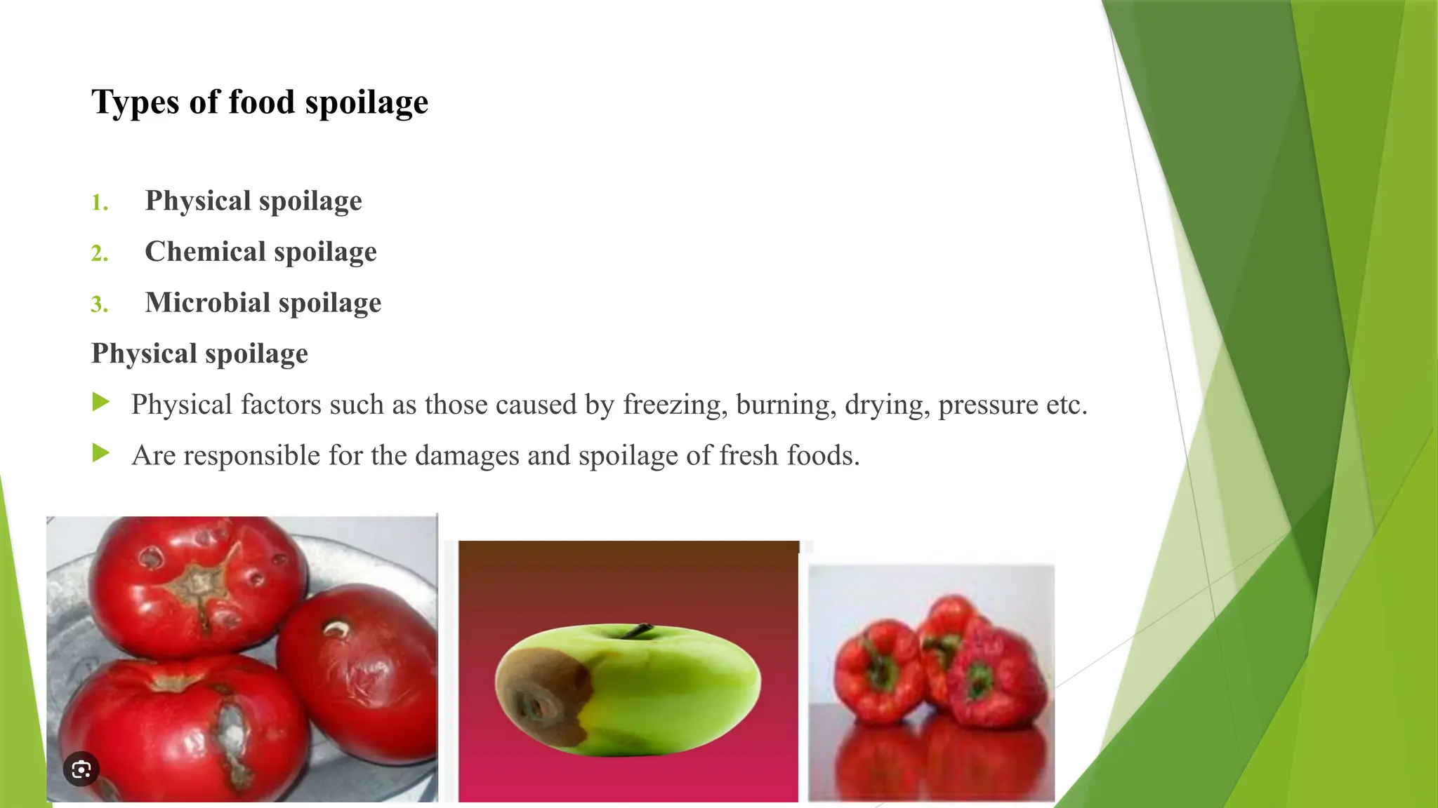 Food microbiology -spillage of food food product | PPTX