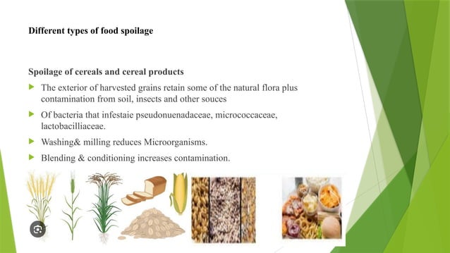 Food microbiology -spillage of food food product | PPTX | Chemistry ...