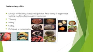 Food microbiology -spillage of food food product | PPTX