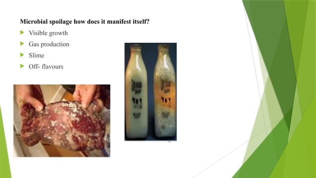 Food microbiology -spillage of food food product | PPTX | Chemistry ...