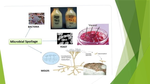 Food microbiology -spillage of food food product | PPTX | Chemistry ...