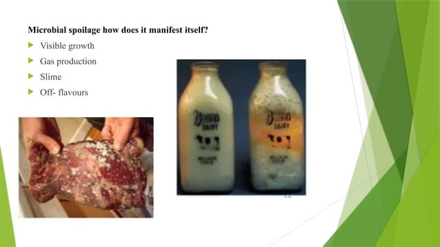 Food microbiology -spillage of food food product | PPTX | Chemistry ...