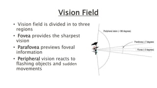 Presentation%20(1).pptx