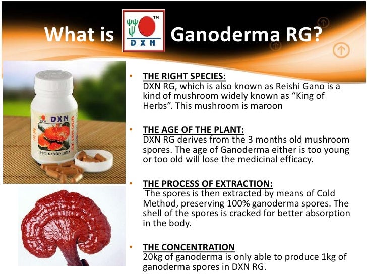 DXN RG 30 - Reishi gano - healthy food supplement with ganoderma | eBay