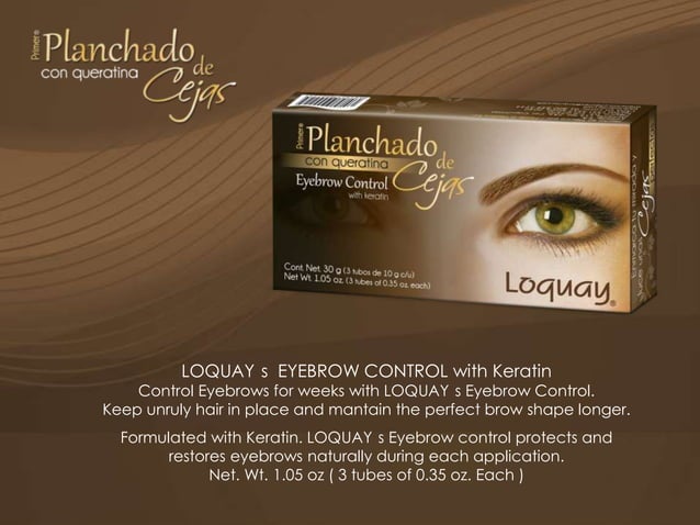 Loquay Presentation 2013 | PPT