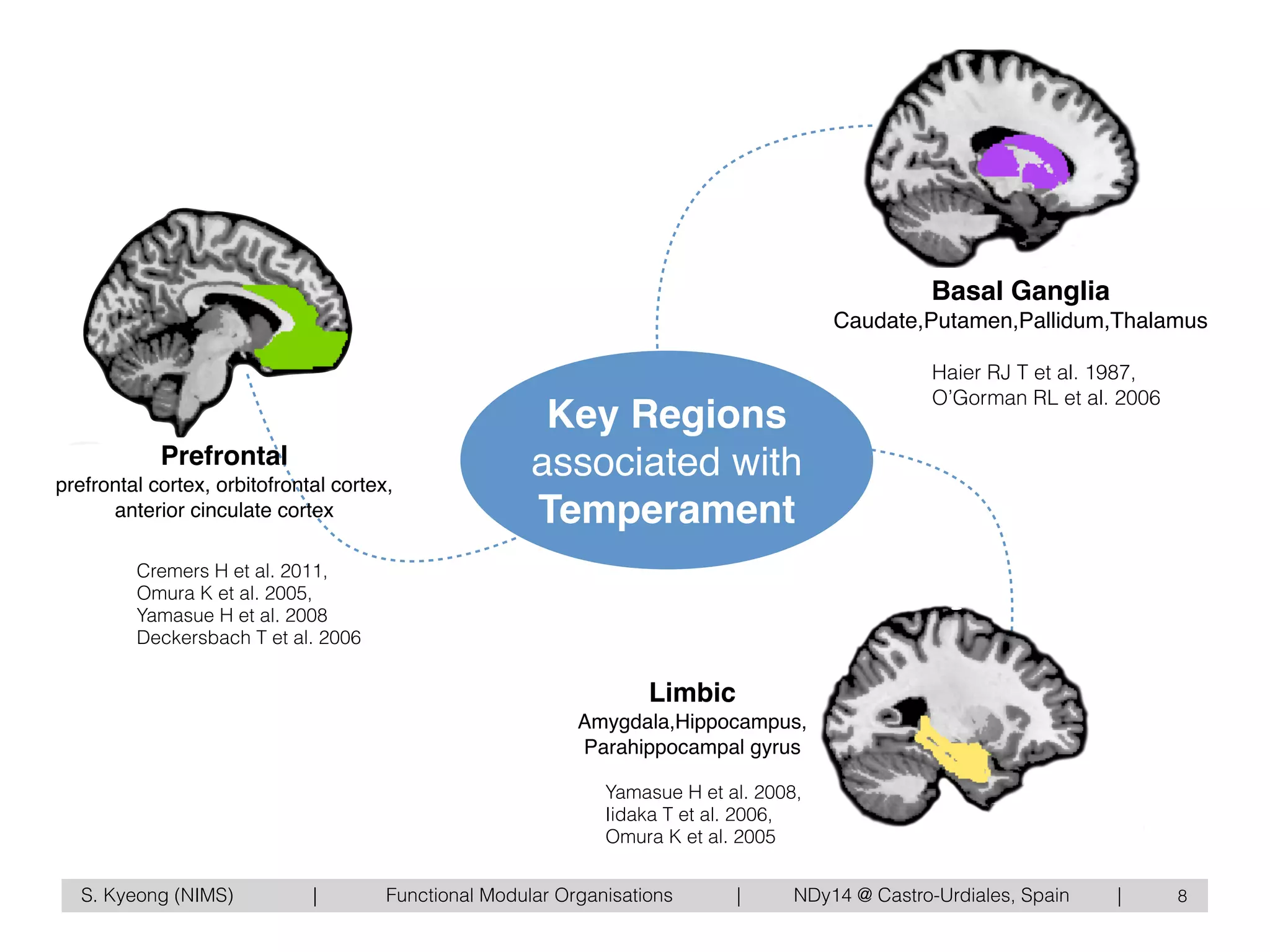 Functional network organizations of two contrasting temperament groups ...