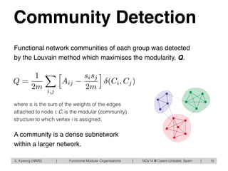 Functional network organizations of two contrasting temperament groups ...