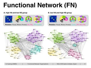 Functional network organizations of two contrasting temperament groups ...