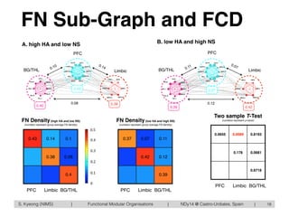 Functional network organizations of two contrasting temperament groups ...