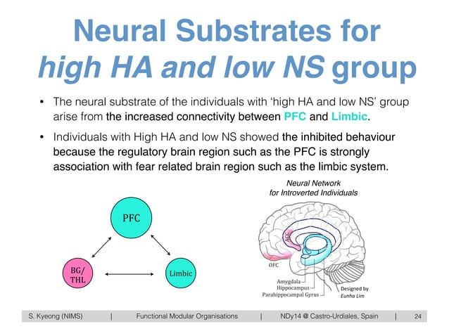 Functional network organizations of two contrasting temperament groups ...