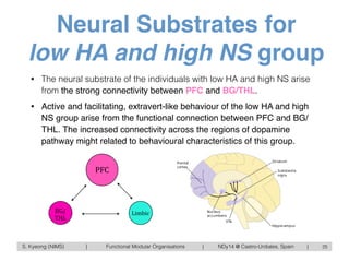 Functional network organizations of two contrasting temperament groups ...