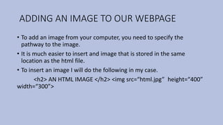 BASIC HTML PRESENTATION | PPT