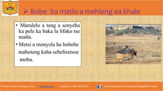 Phapano ea motlo a khale le a kajeno | PPTX