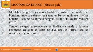 Moqoqo | PPTX
