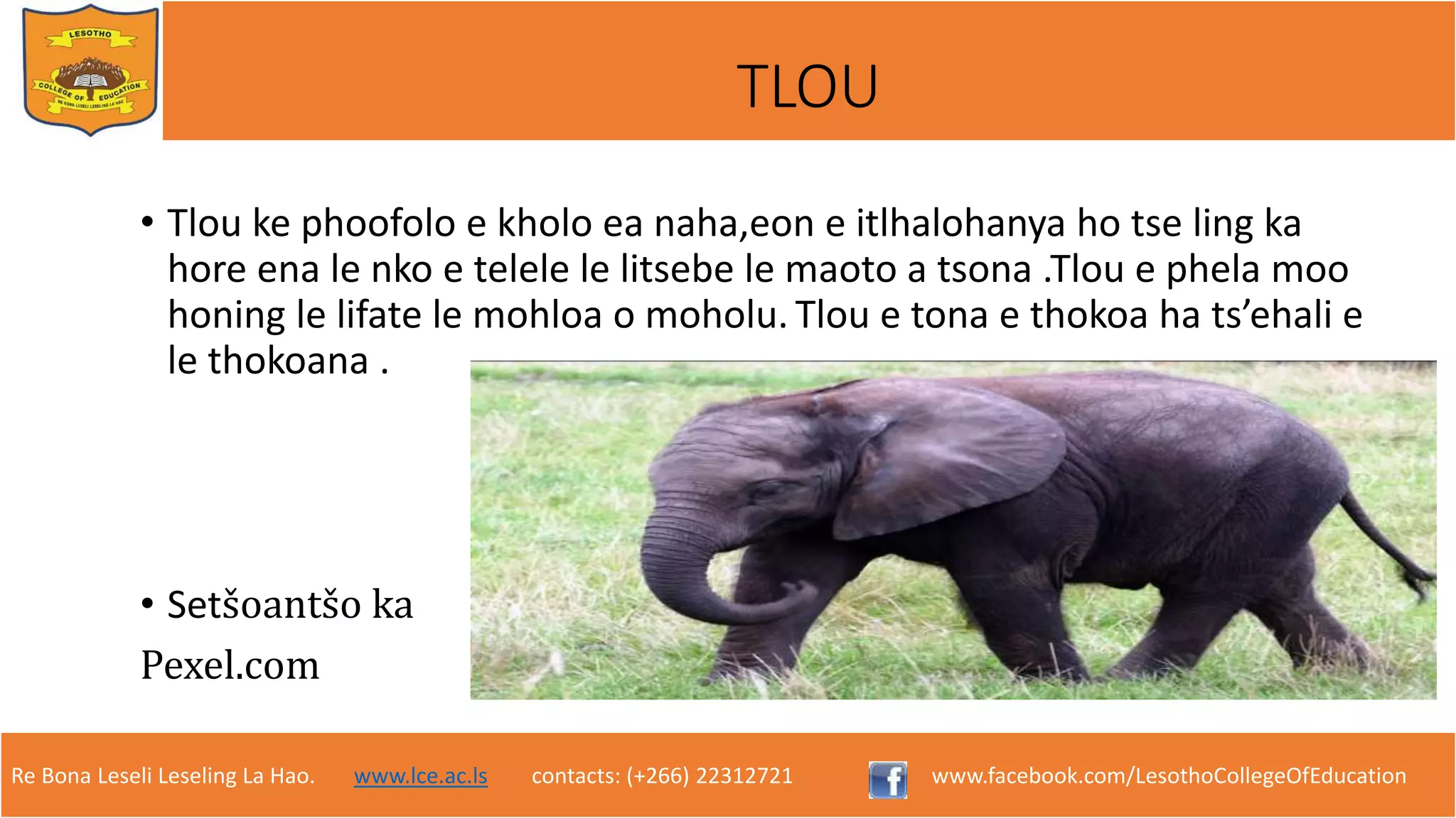 Presentation[2016 0464] | PPTX